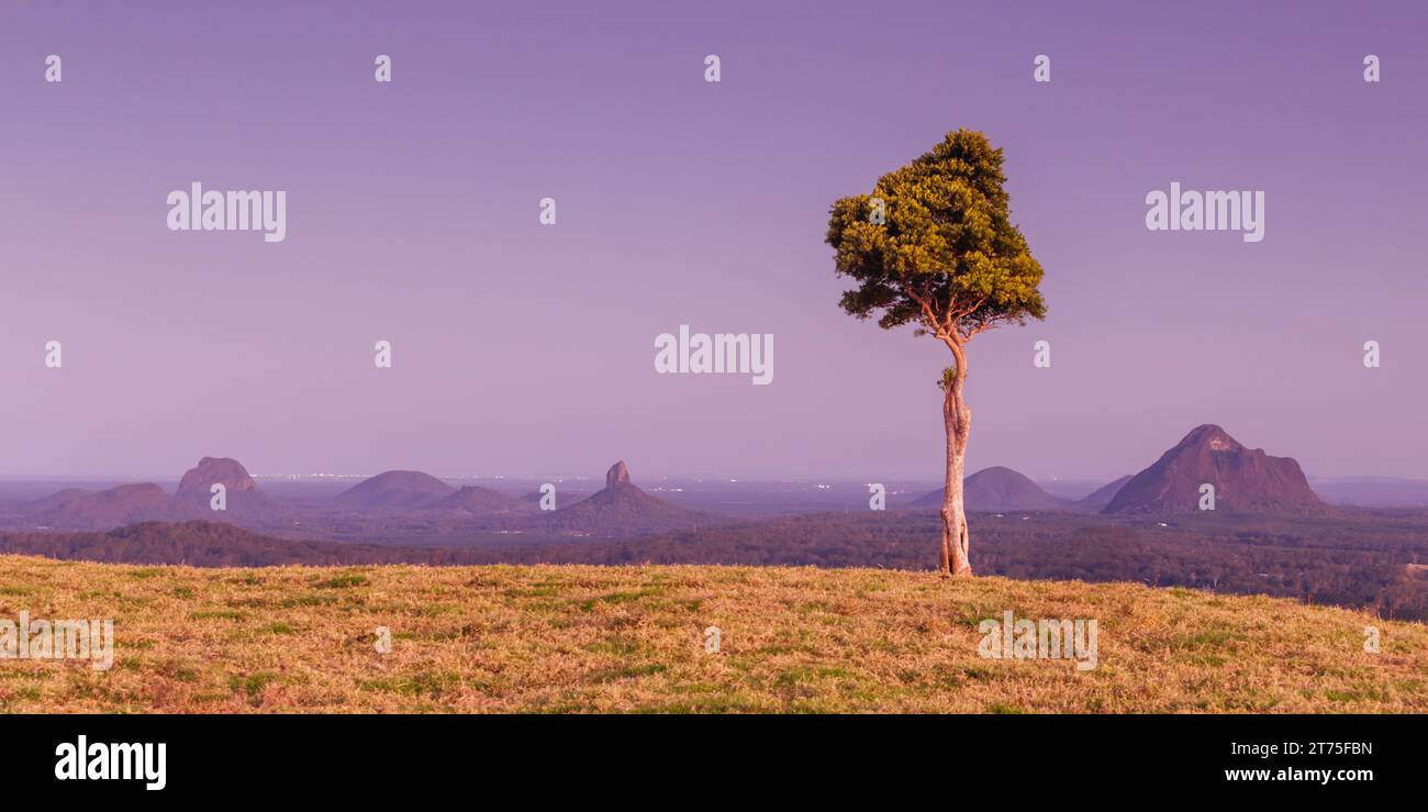 A view across the Glass House Mountains National Park from One Tree ...