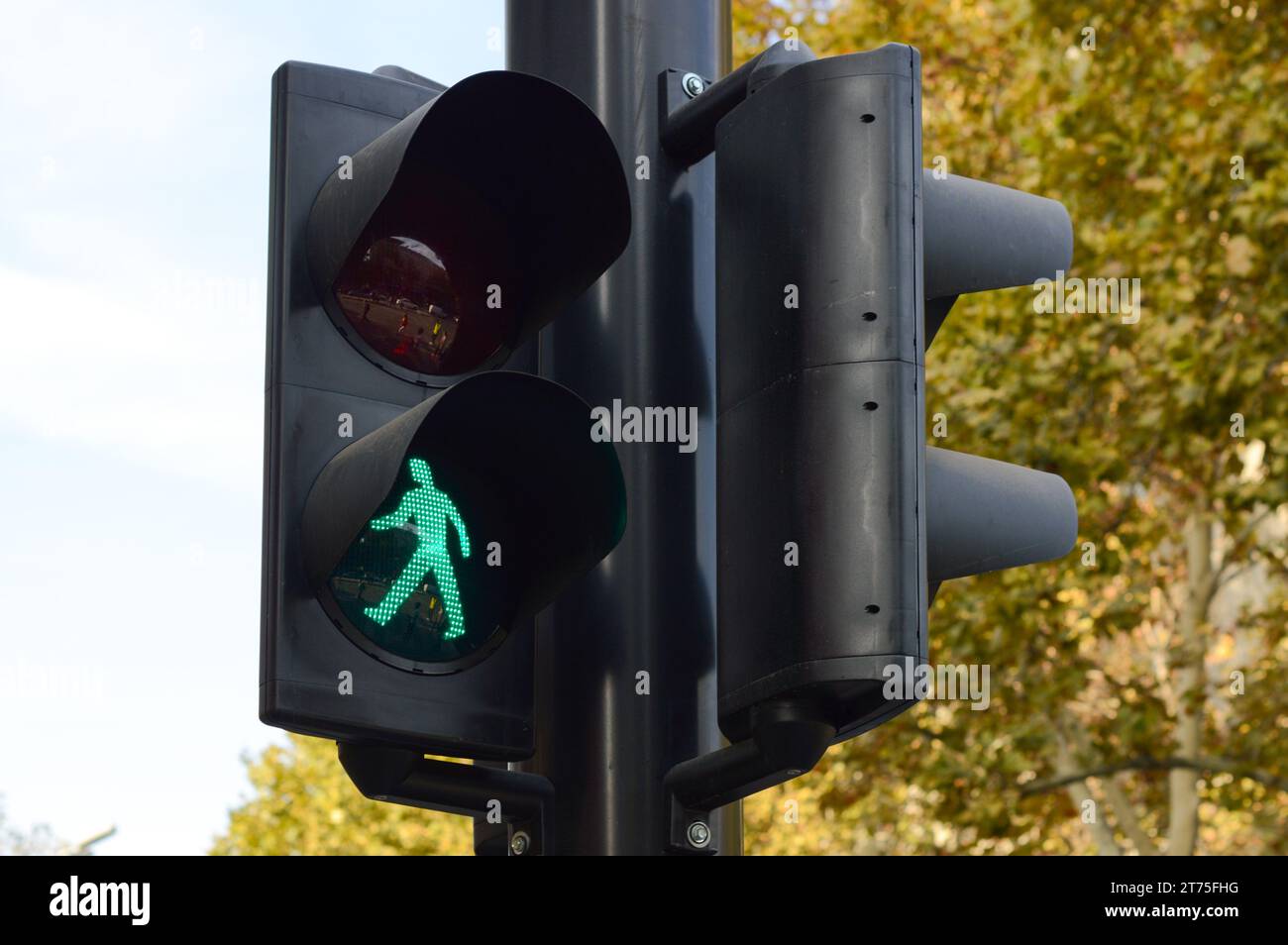 Pedestrian green light signal with lit walking man symbol, on the trees ...