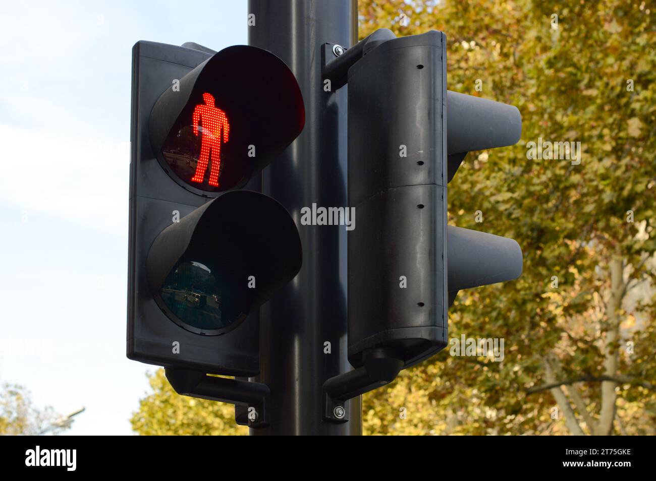 Lit red stop light signal with standing pedestrian man symbol, on the ...