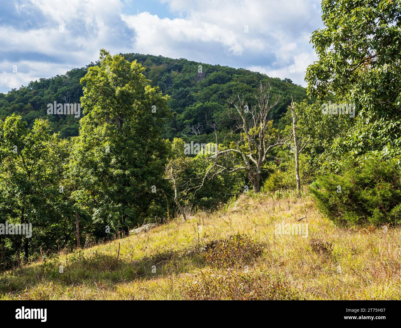 Amidst the mountainous terrain along the North Mountain and Laurel Run ...