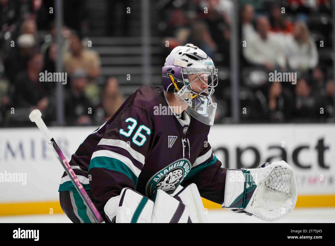 Anaheim Ducks goaltender John Gibson (36) guard his net during the ...