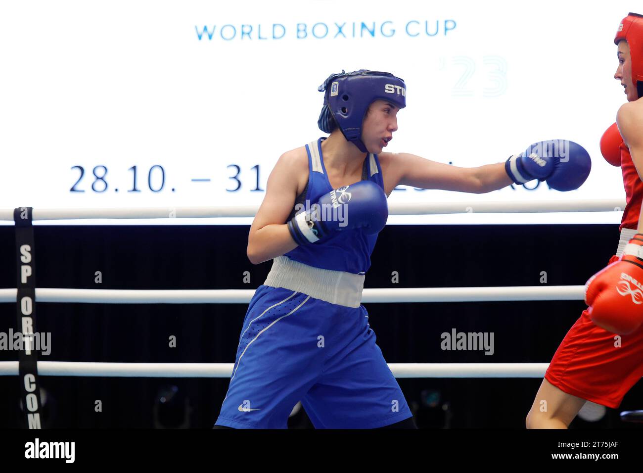 Cologne boxing cup 2023 hi-res stock photography and images - Alamy