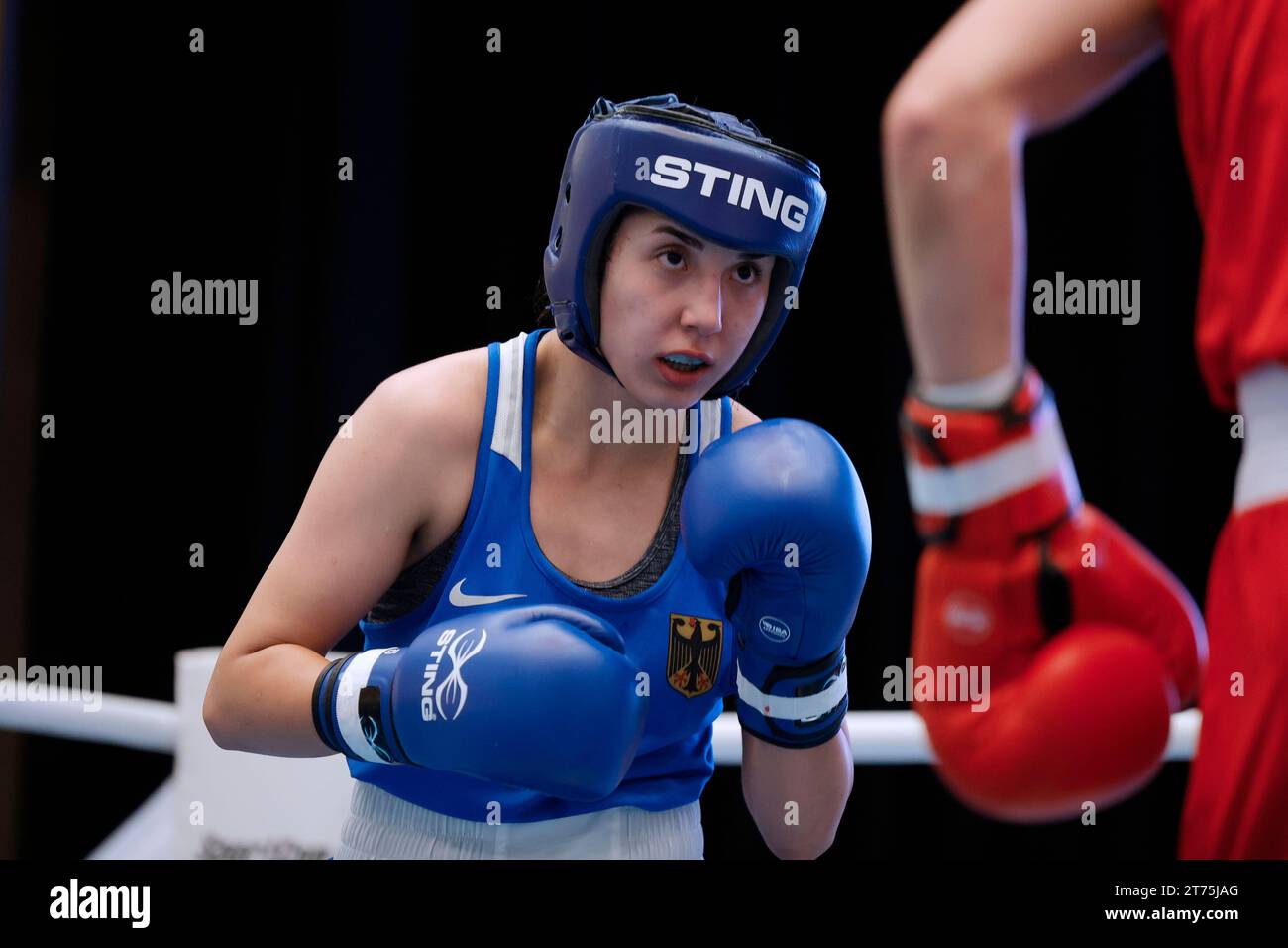 Cologne boxing cup 2023 hi-res stock photography and images - Alamy