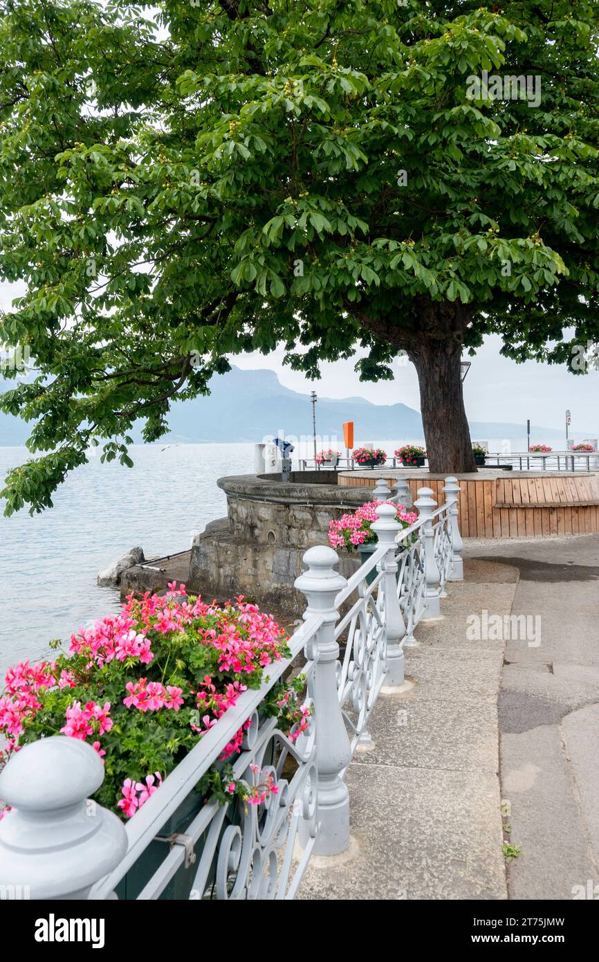 Summer Panorama from town of Vevey to Lake Geneva, Canton of Vaud ...