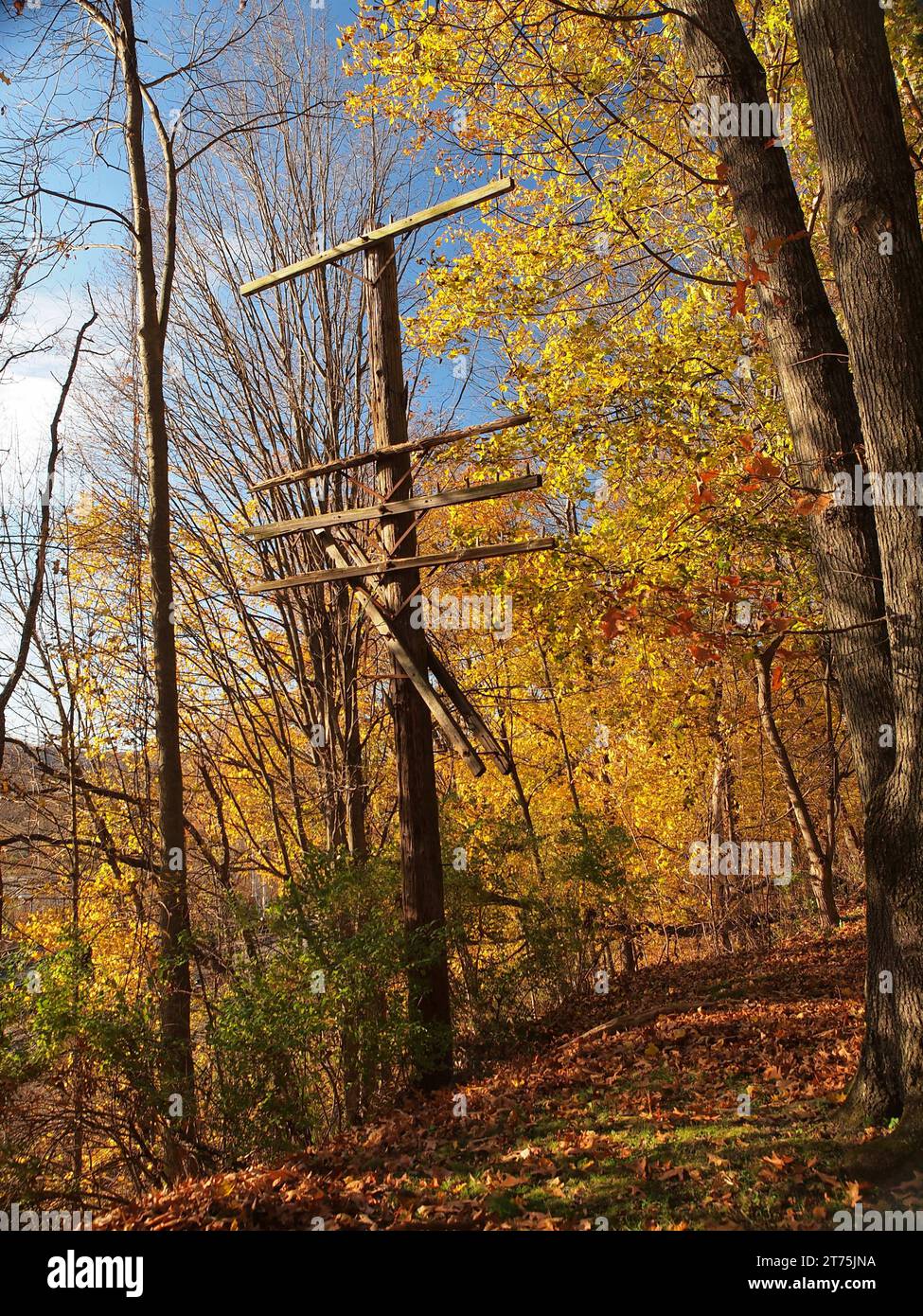 Utility pole in fall in new york hi-res stock photography and images ...