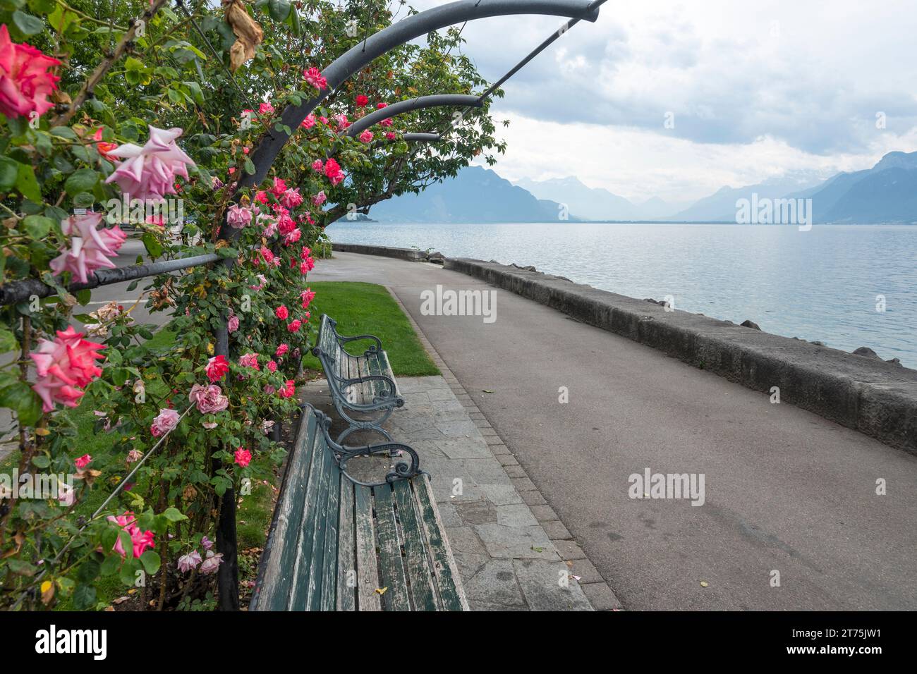 Summer Panorama from town of Vevey to Lake Geneva, Canton of Vaud ...