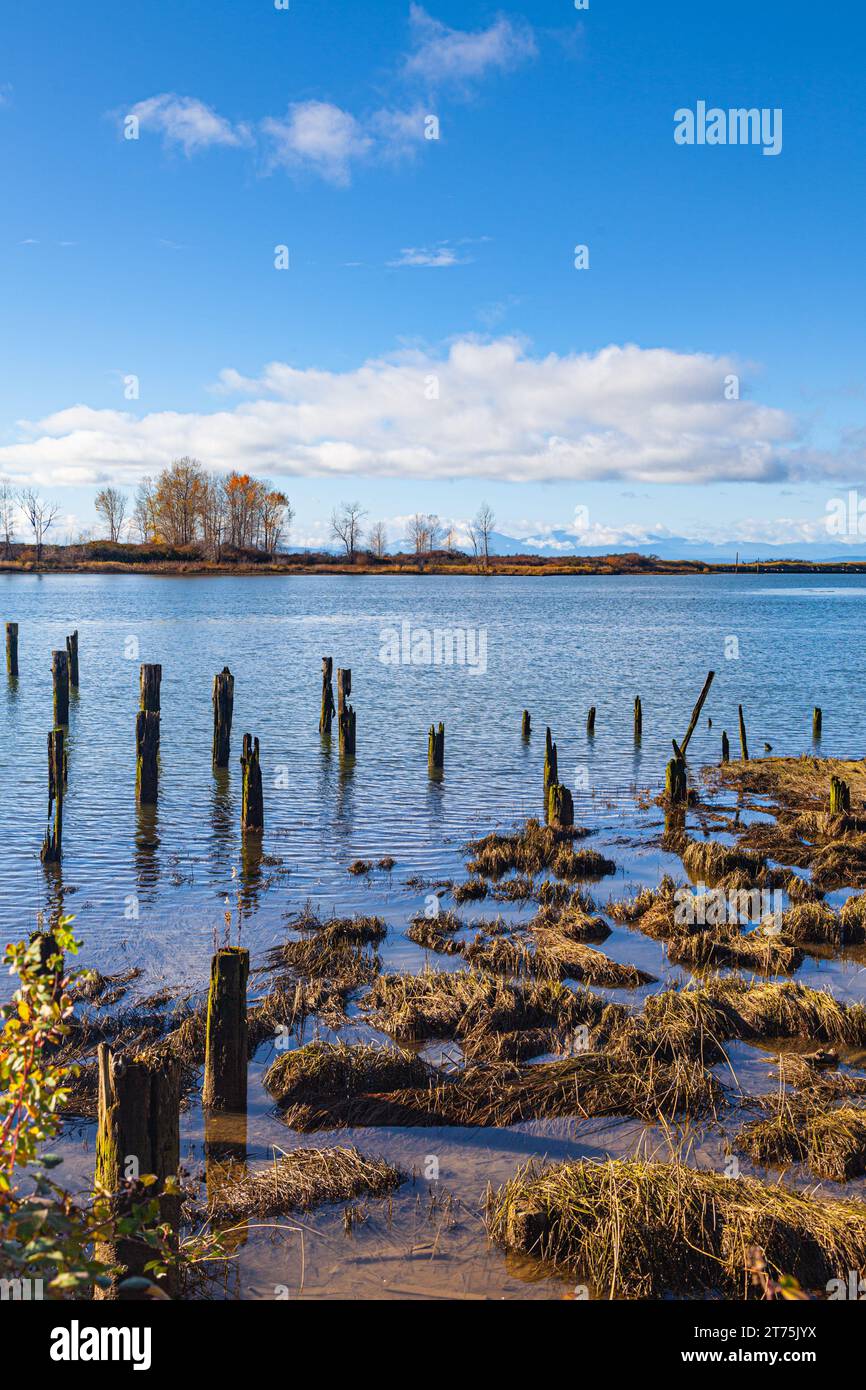 Low tide over the coastal marsh in Steveston British Columbia Canada ...