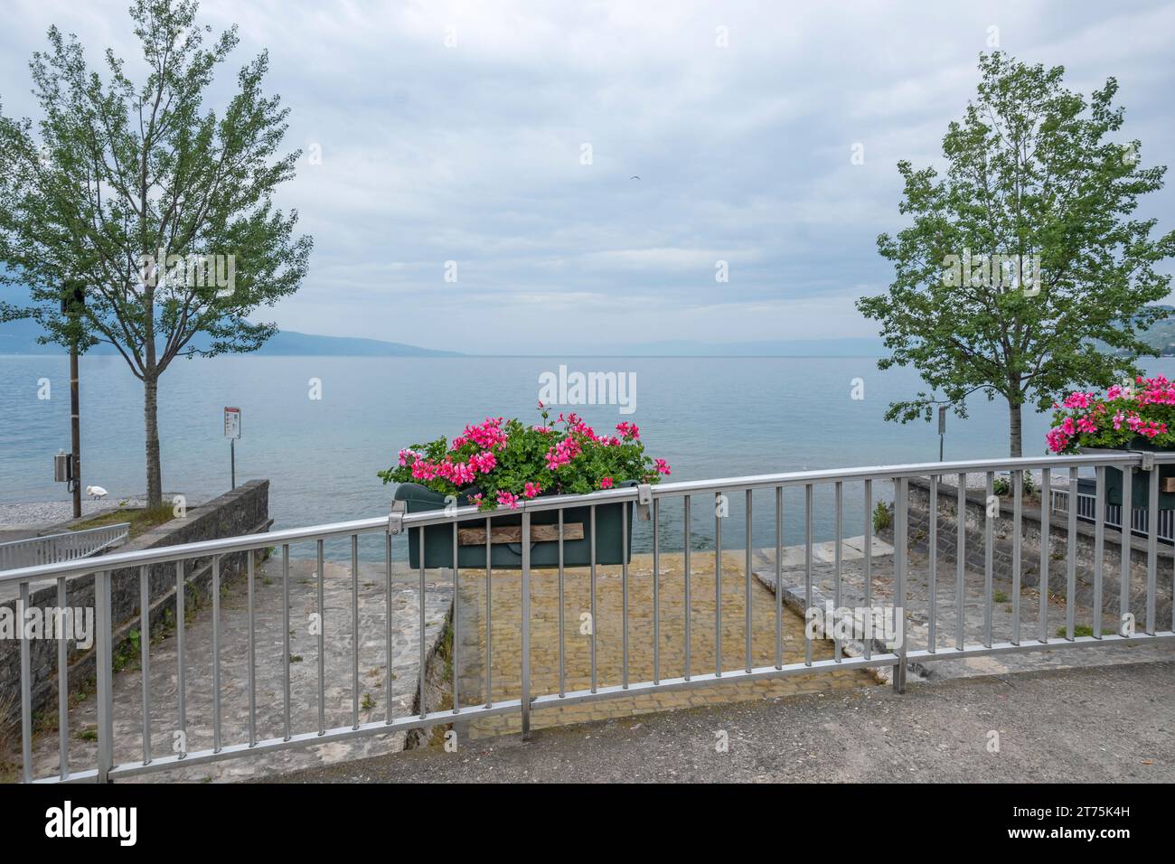 Summer Panorama from town of Vevey to Lake Geneva, Canton of Vaud ...