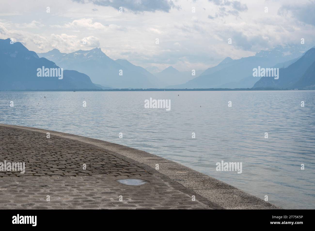 Summer Panorama from town of Vevey to Lake Geneva, Canton of Vaud ...