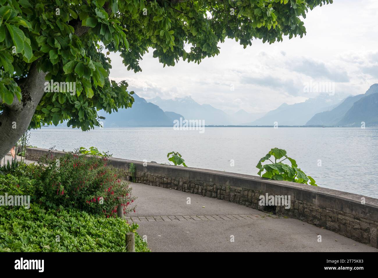 Summer Panorama from town of Vevey to Lake Geneva, Canton of Vaud ...
