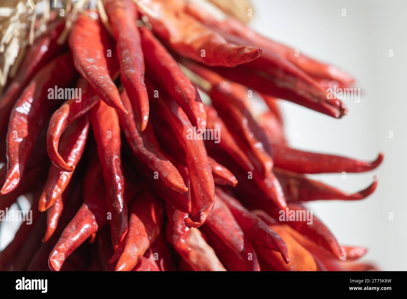 Close up detail of a red chile ristra, dried red chile peppers strung ...