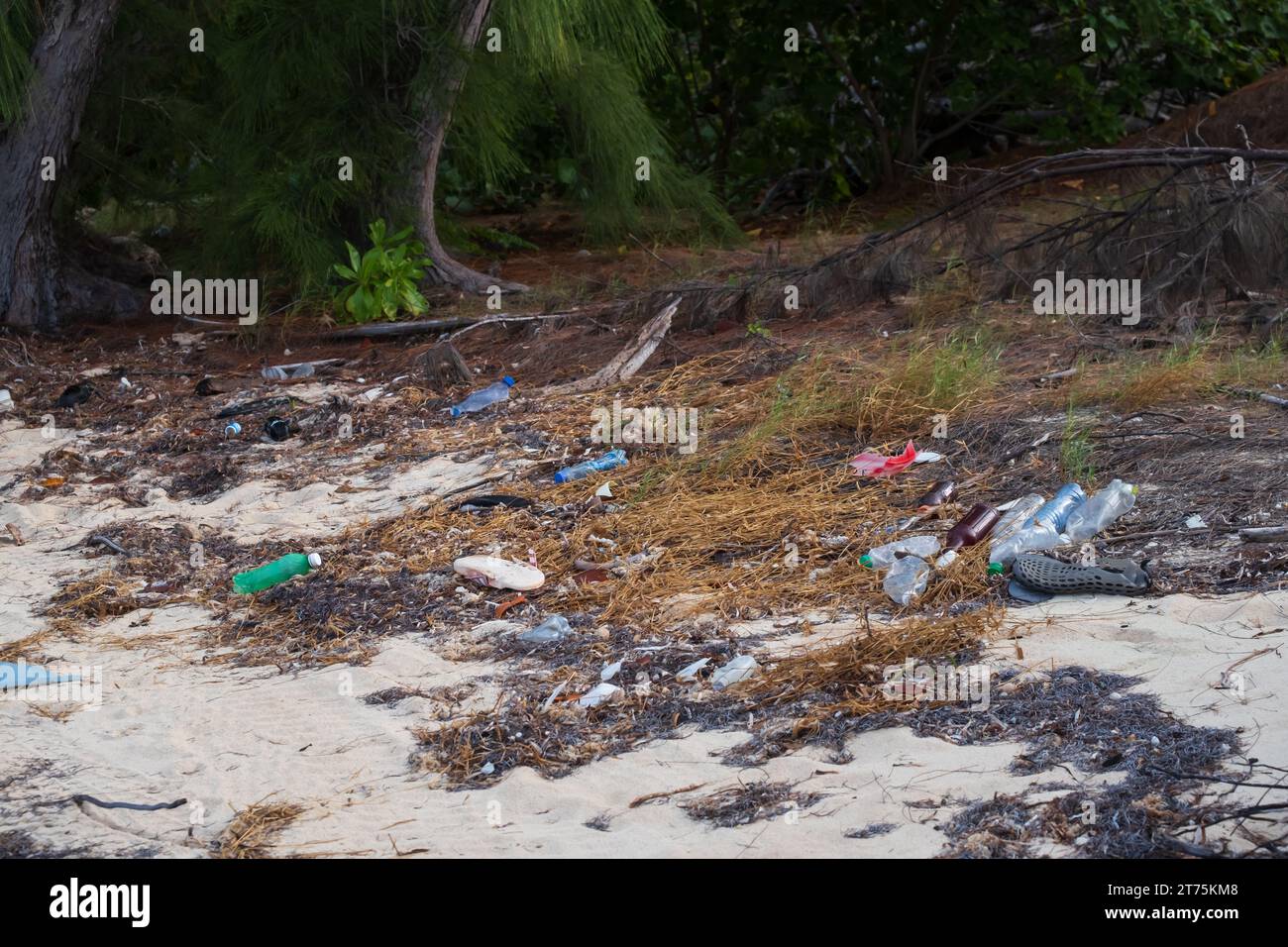 Trash on beach Stock Photo - Alamy