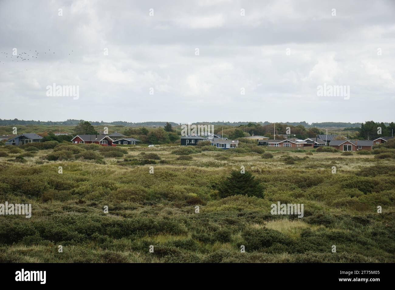 Dune landscape at the North Sea, Rømø, Denmark Stock Photo - Alamy
