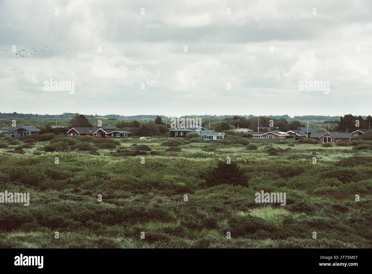Dune landscape at the North Sea, Rømø, Denmark Stock Photo - Alamy