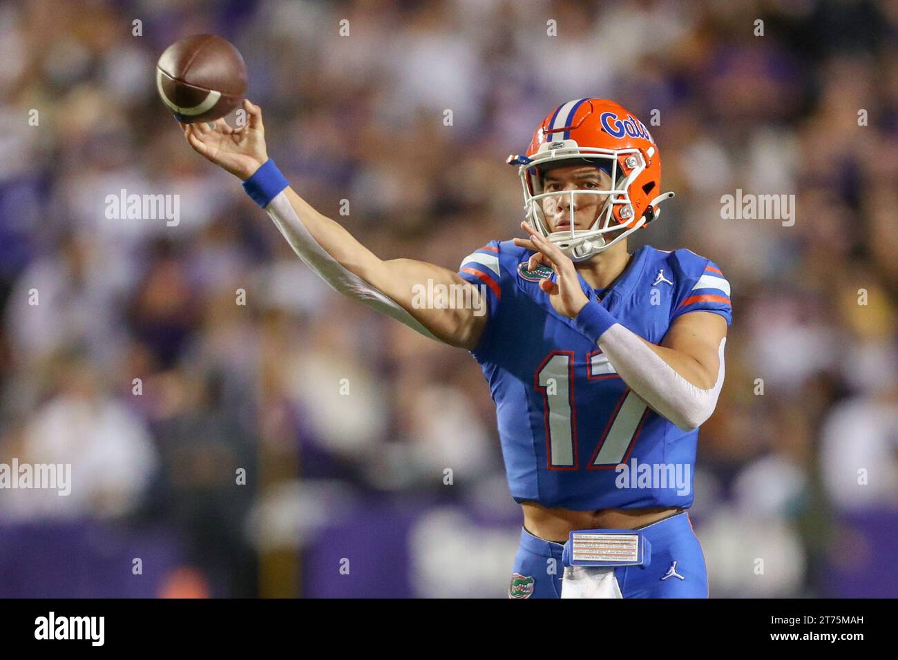 Max brown florida hi-res stock photography and images - Alamy