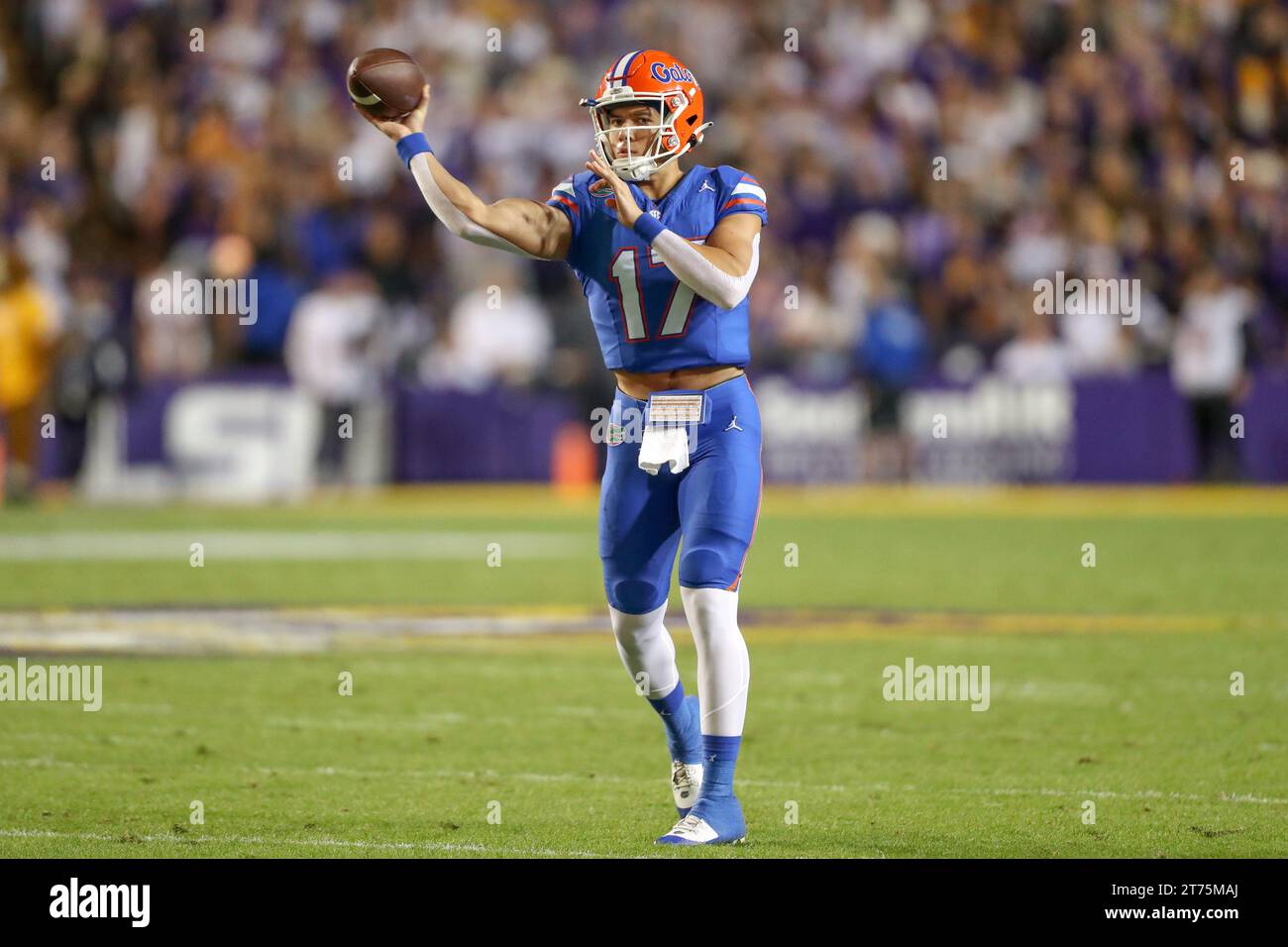 Max brown florida hi-res stock photography and images - Alamy