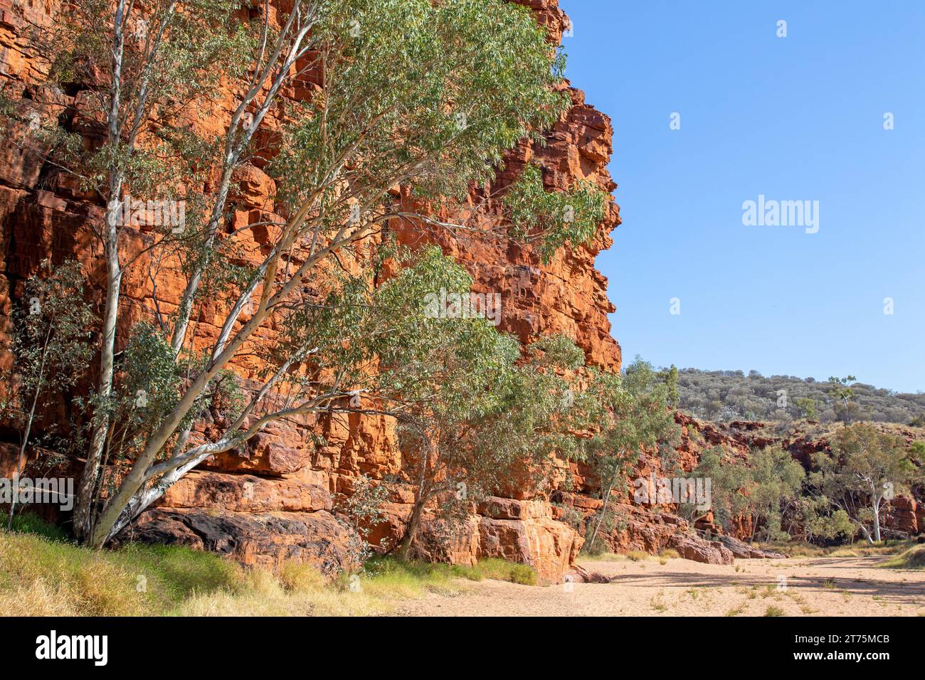 Trephina Gorge, East MacDonnell Ranges Stock Photo - Alamy
