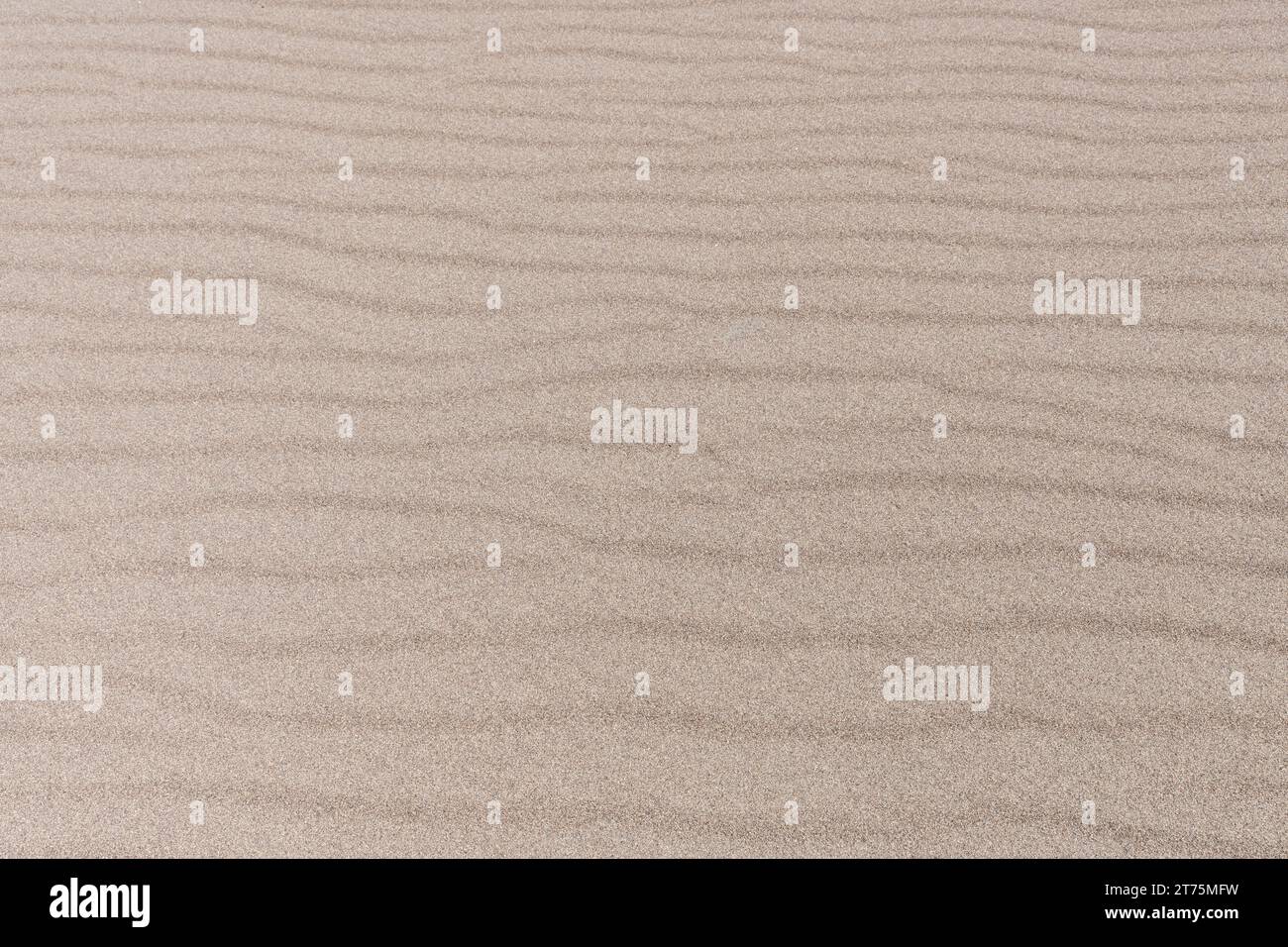 Close up of desert sand with a rippling wave pattern that stretches ...