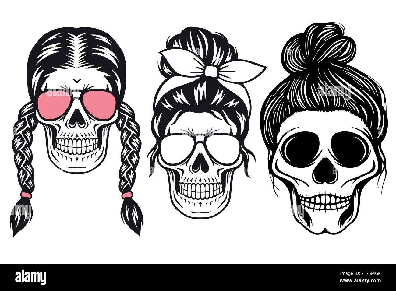 Cheetah skeleton Stock Vector Images - Alamy