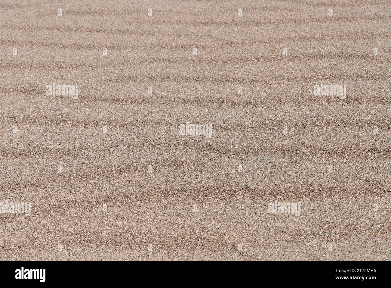 Close up of desert sand with a rippling wave pattern that stretches ...