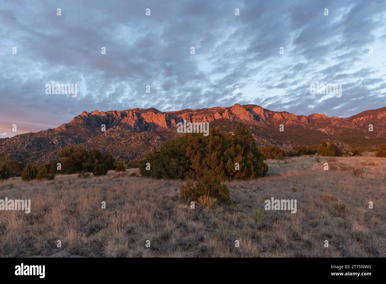 Sandia Mountains at sunset as seen from the foothills of Albuquerque ...