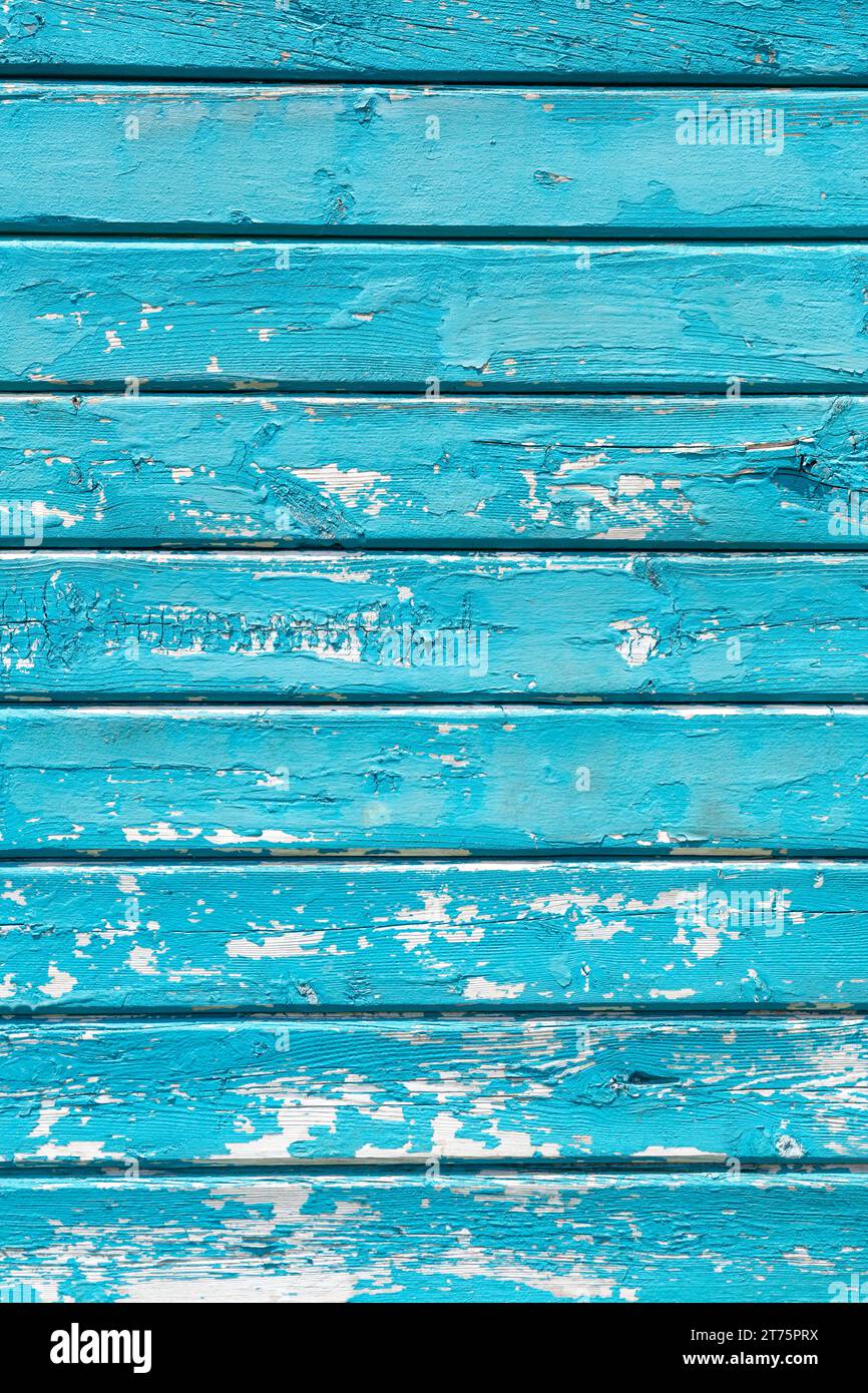 Weathered wooden wall, cracking paint with teal blue and turquoise ...