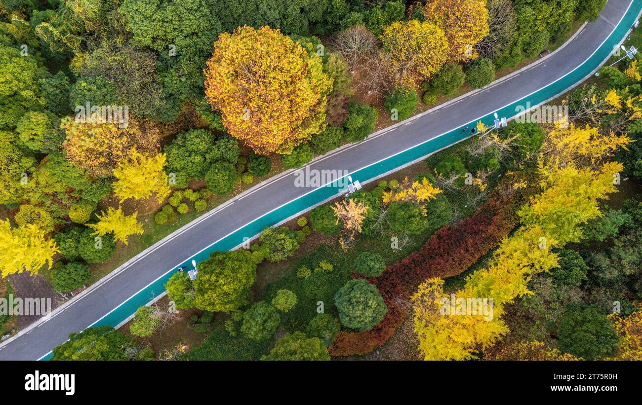 Guiyang forest hi-res stock photography and images - Alamy