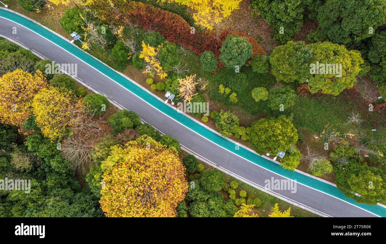 Guiyang forest hi-res stock photography and images - Alamy