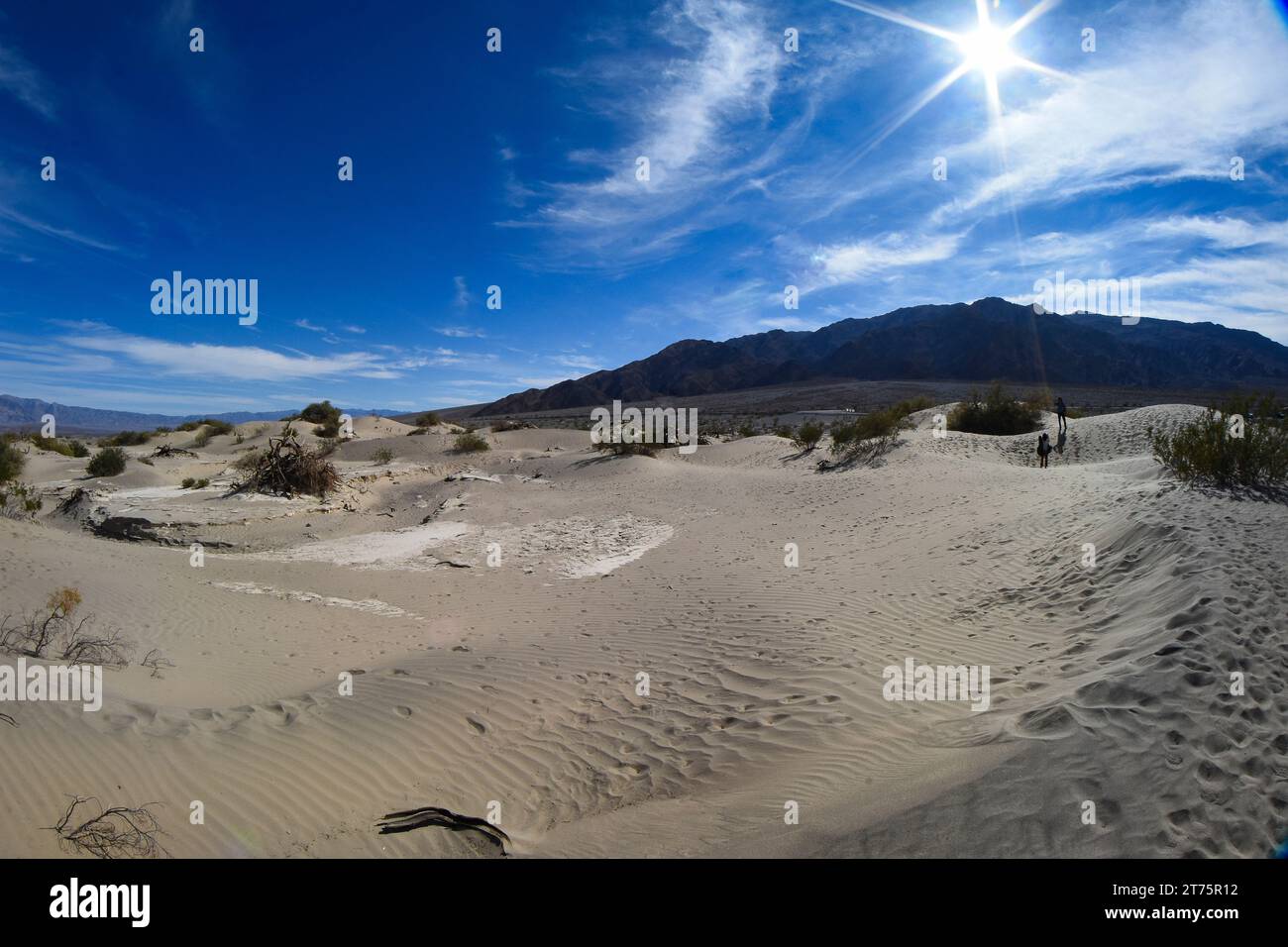 Sand dunes baking in the summer heat Stock Photo - Alamy