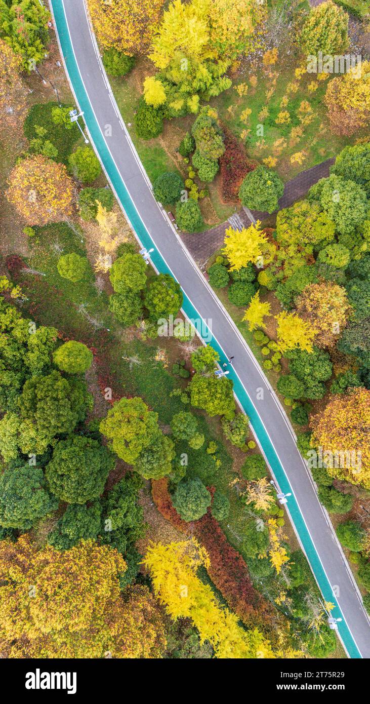Guiyang forest hi-res stock photography and images - Alamy