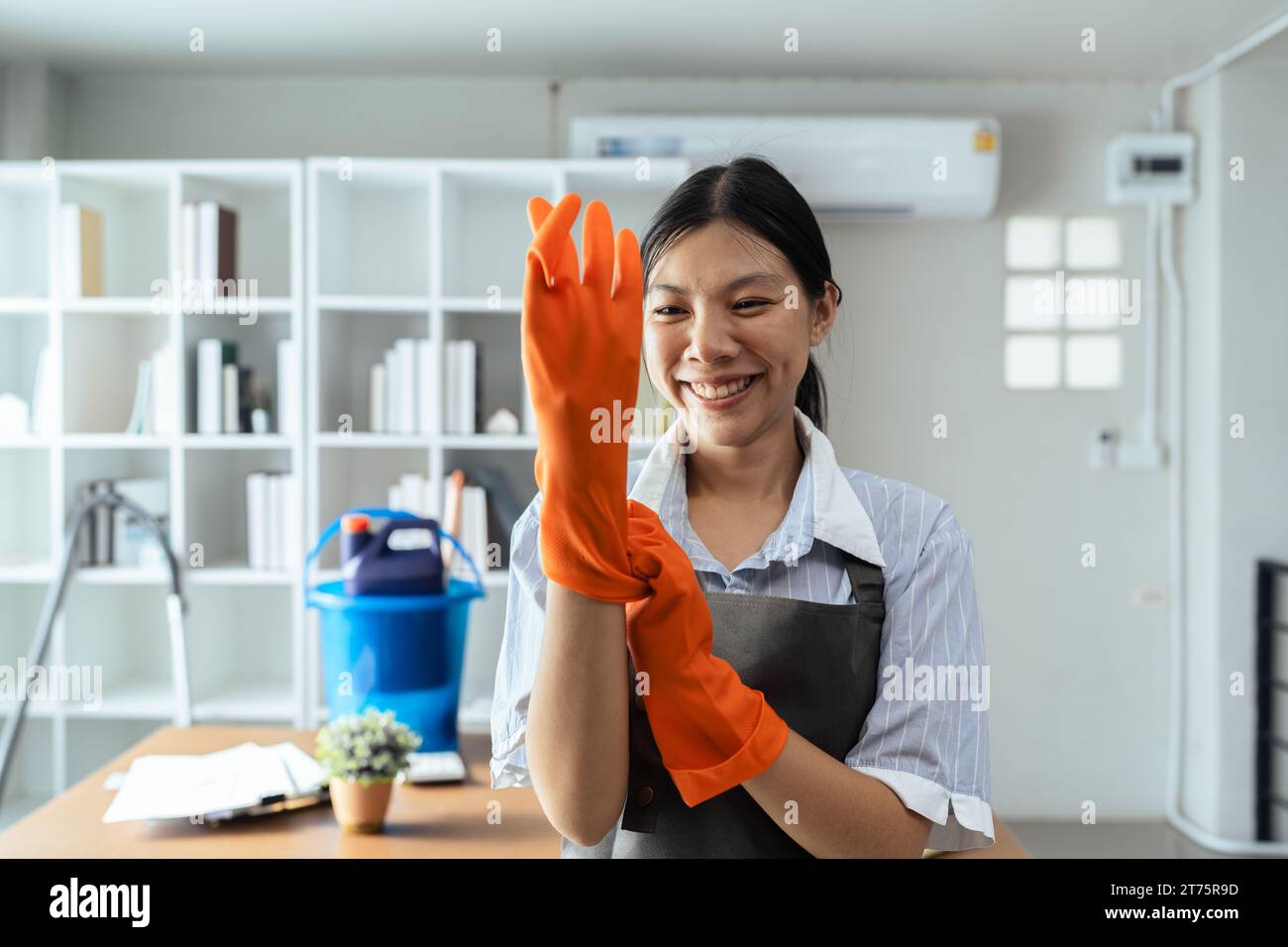 Female housekeeper smile and wearing glove, preparing to clean office ...