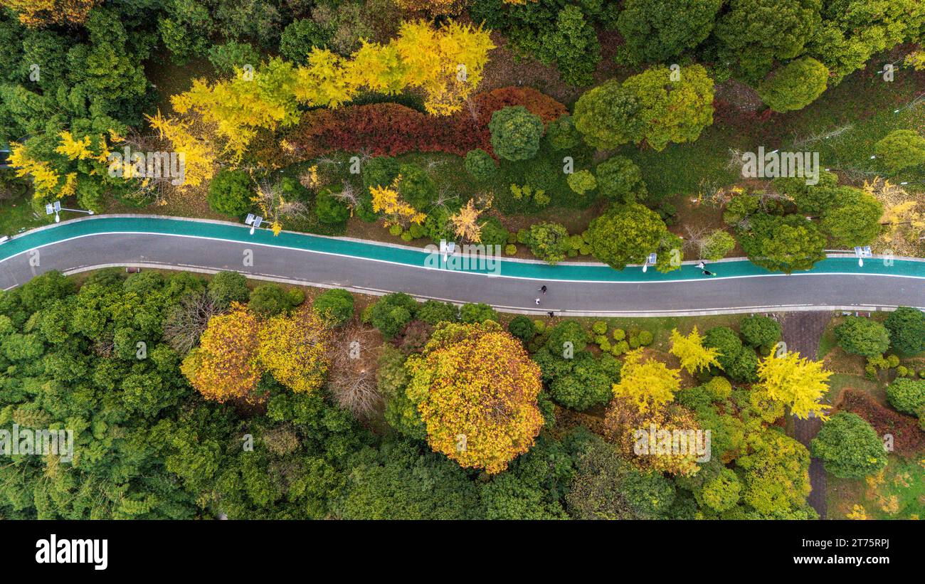 Guiyang, China. 14th Nov, 2023. GUIYANG, CHINA - NOVEMBER 2, 2023 ...