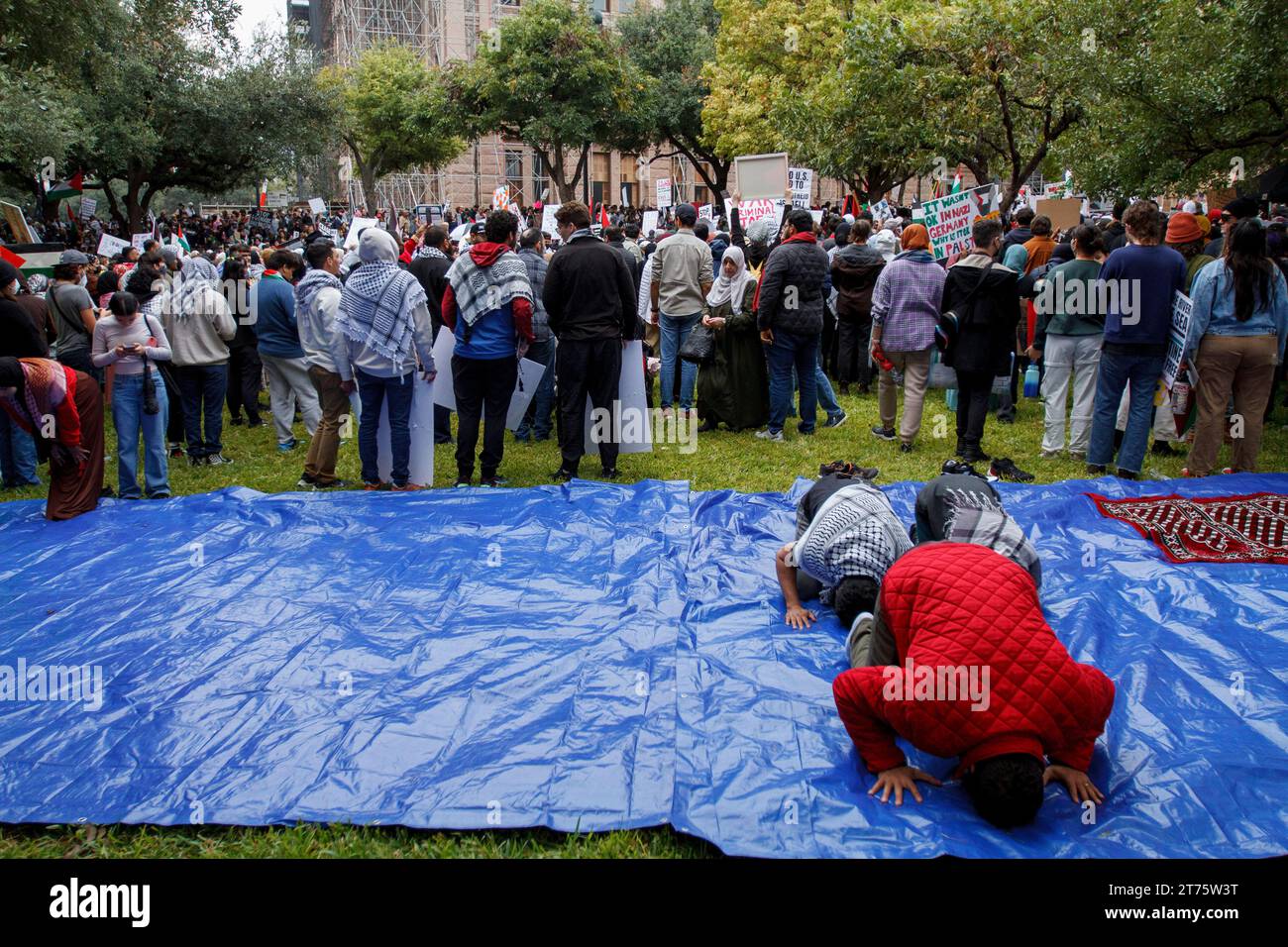 Austin, Texas, USA. 12th Nov, 2023. Muslim men pray on the grounds of ...
