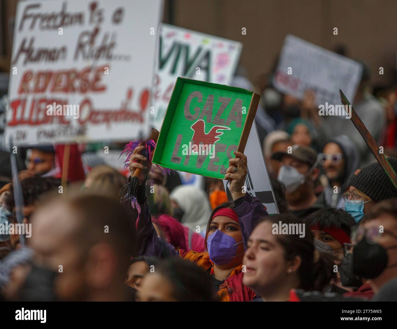 Austin, Texas, USA. 13th Nov, 2023. A woman holds up a sign that reads ...