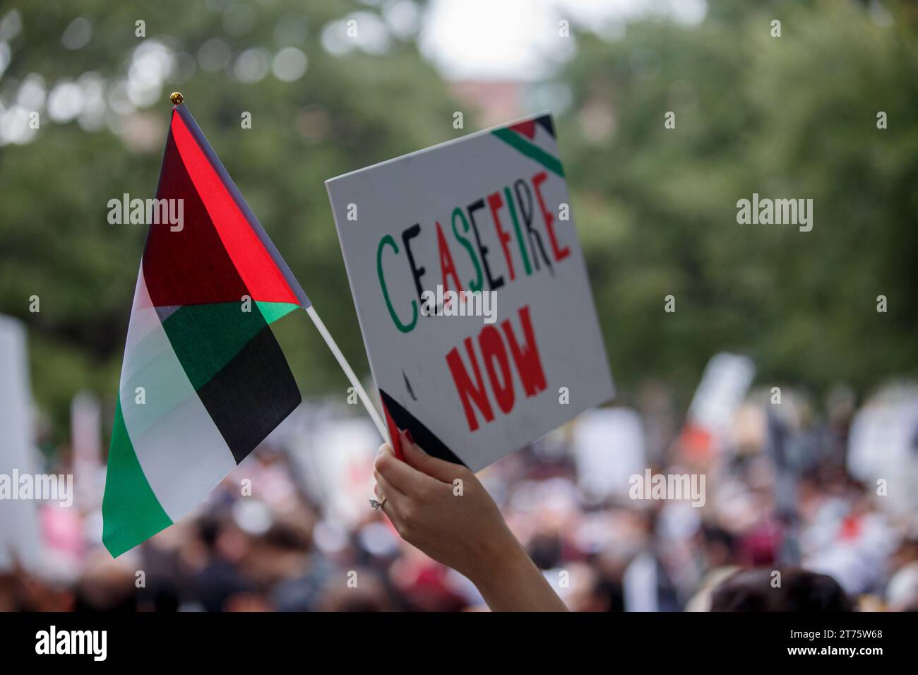 Austin, Texas, USA. 13th Nov, 2023. A woman holds up a Palestinian flag ...