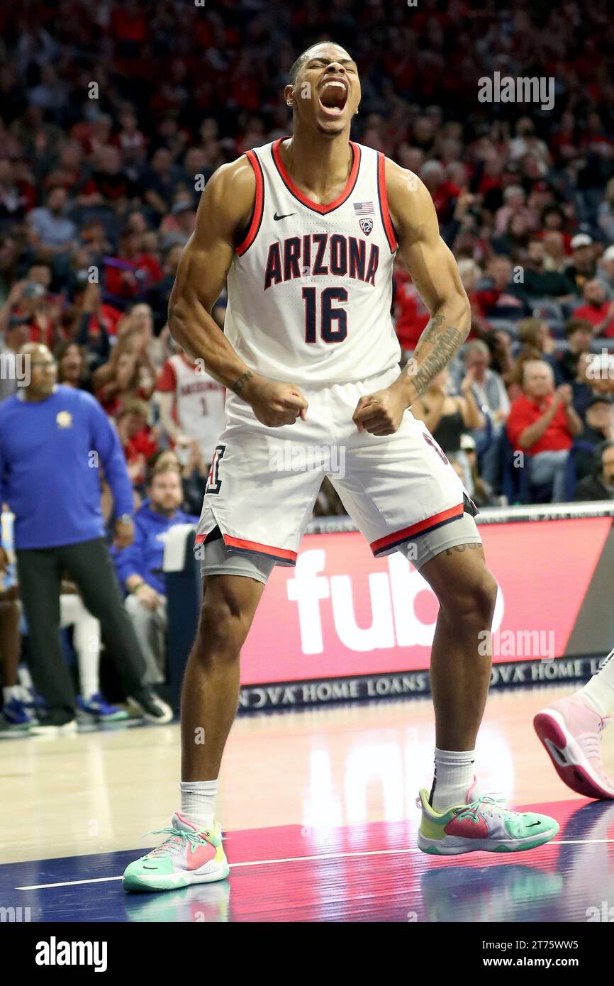 TUCSON, AZ - NOVEMBER 13: Arizona Wildcats forward Keshad Johnson #16 ...