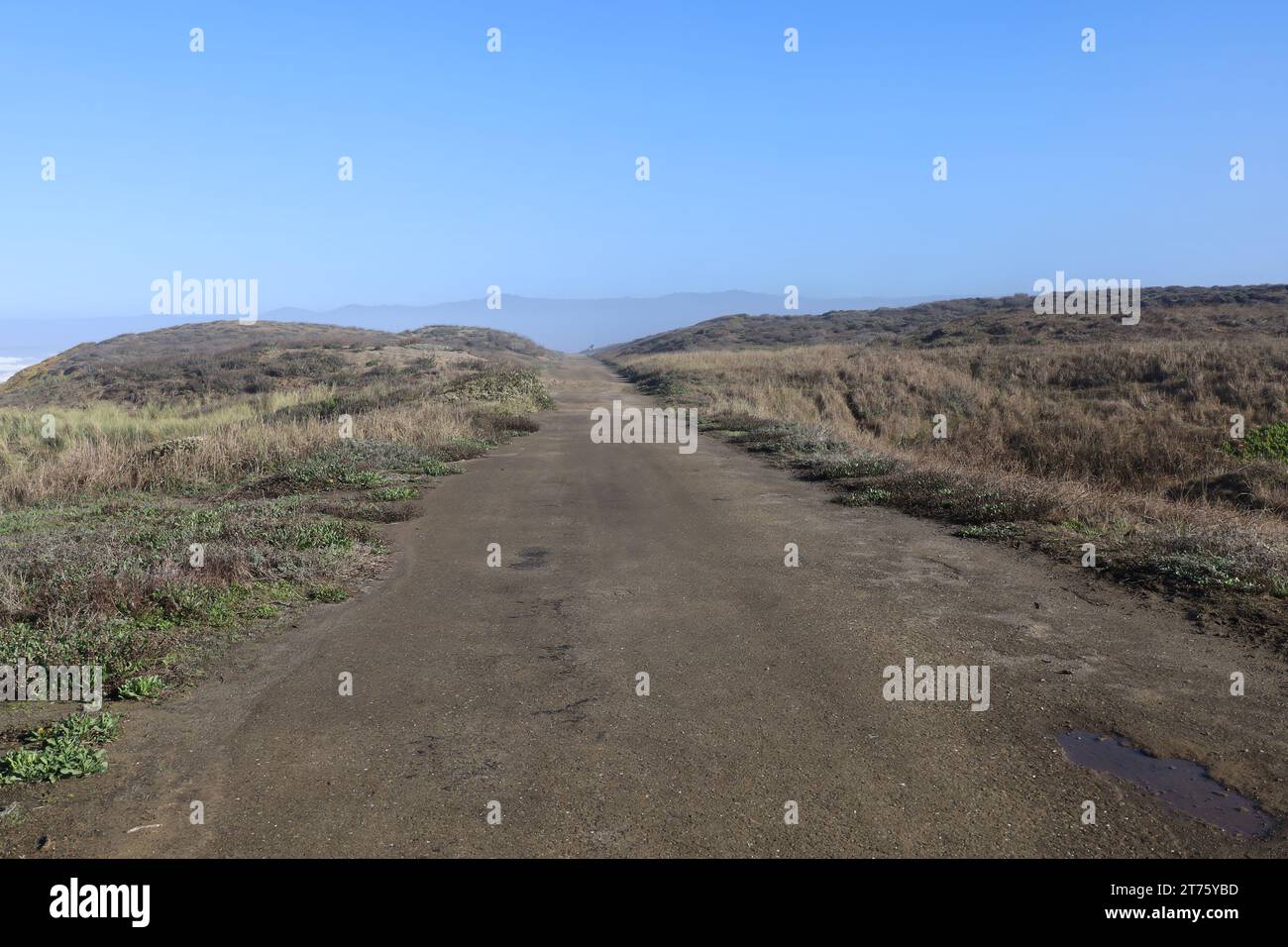 Photo of Nature in Mendocino in California Stock Photo - Alamy