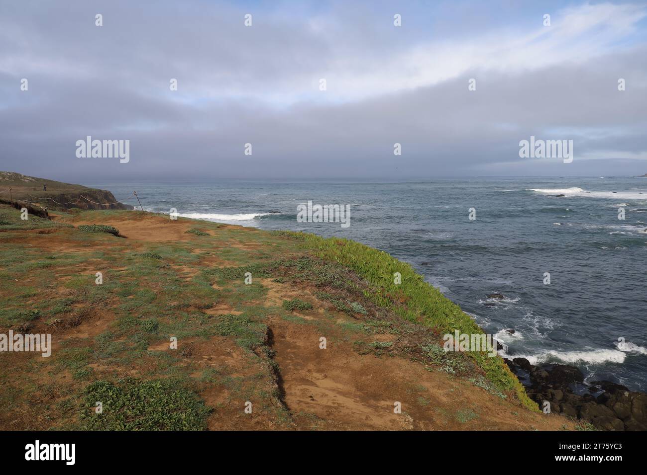 Photo of Nature in Mendocino in California Stock Photo - Alamy