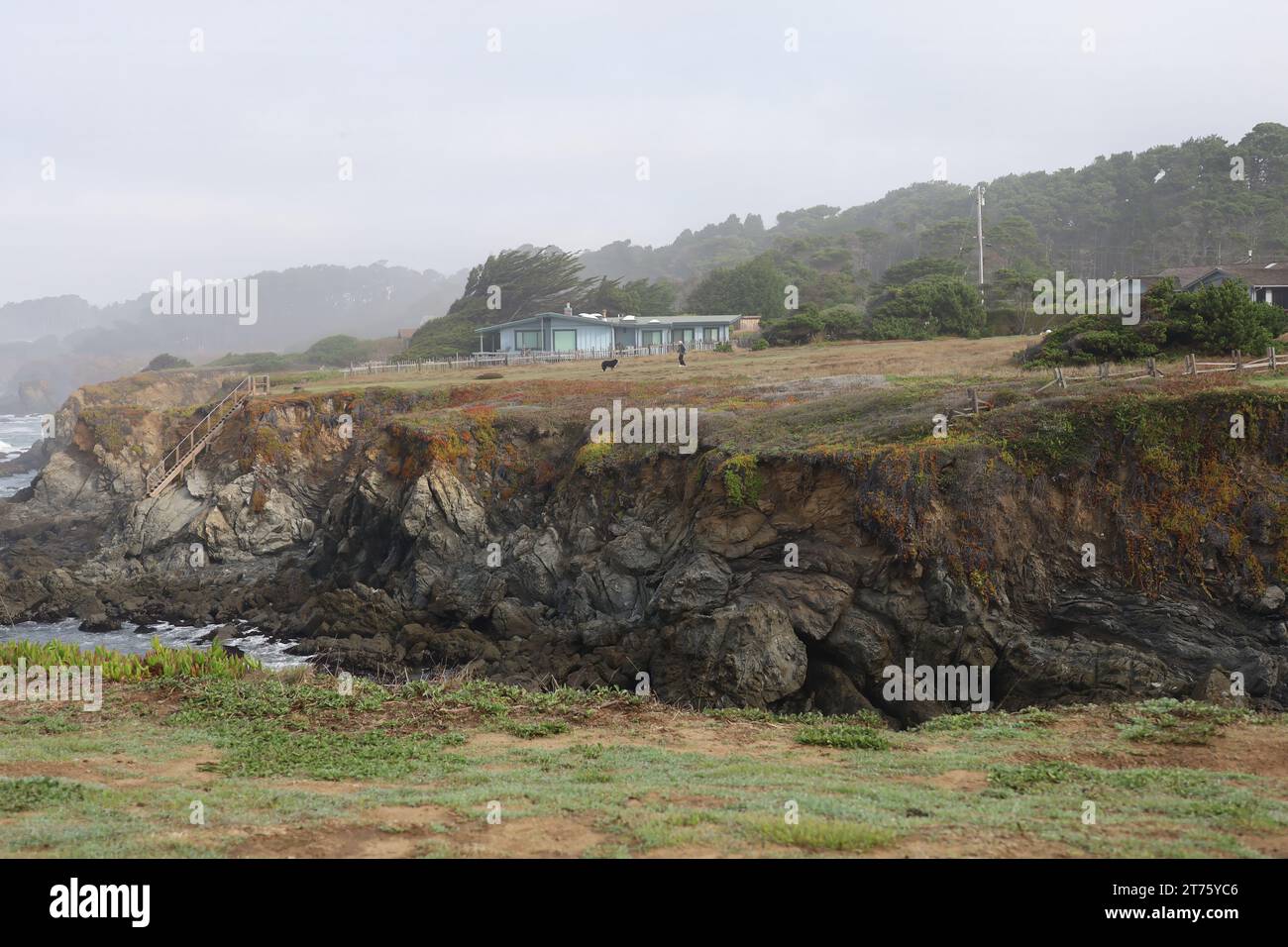 Photo of Nature in Mendocino in California Stock Photo - Alamy