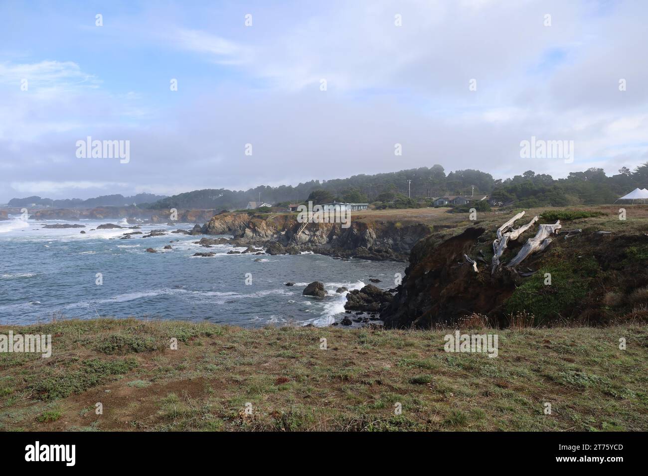 Photo of Nature in Mendocino in California Stock Photo - Alamy
