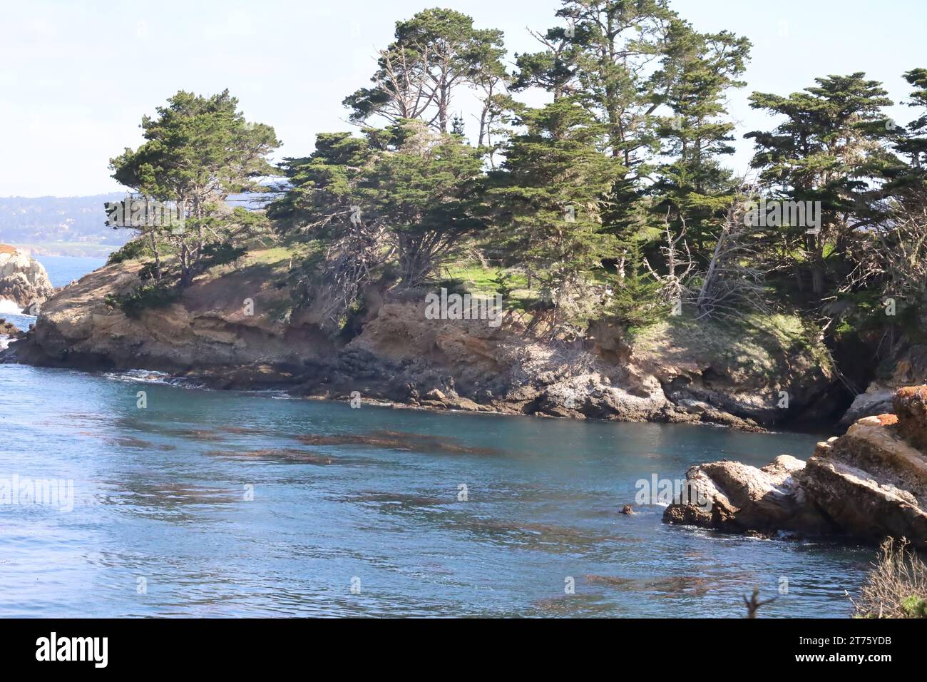 Rocks, beaches, and sky in Point Lobos State park in California Stock ...
