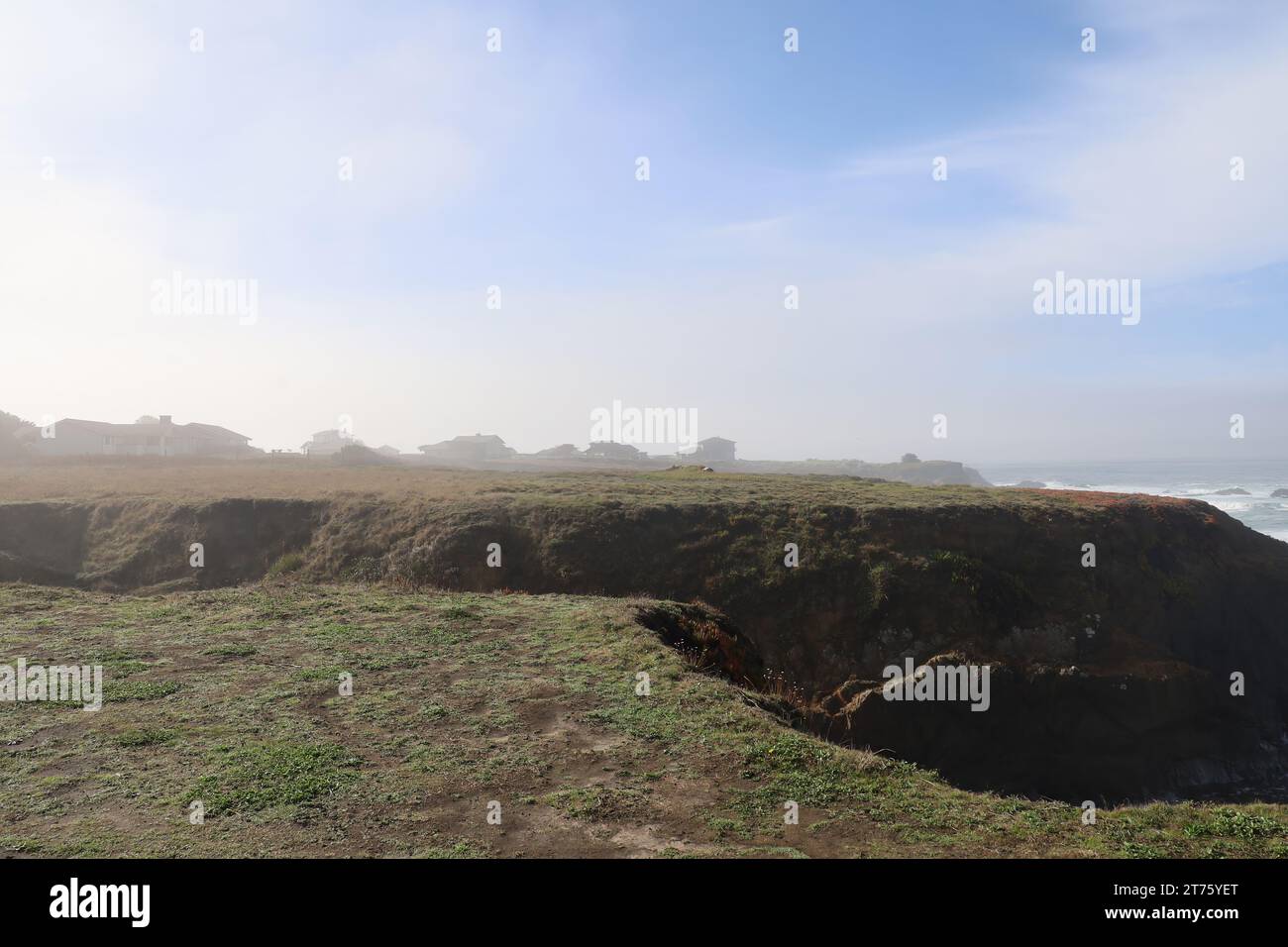 Photo of Nature in Mendocino in California Stock Photo - Alamy