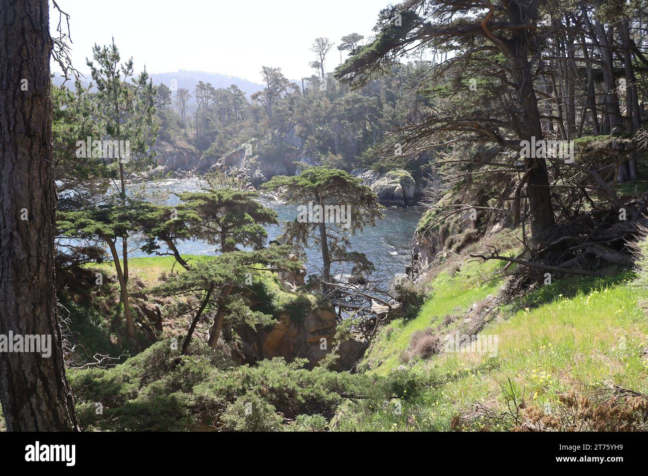 Rocks, beaches, and sky in Point Lobos State park in California Stock ...