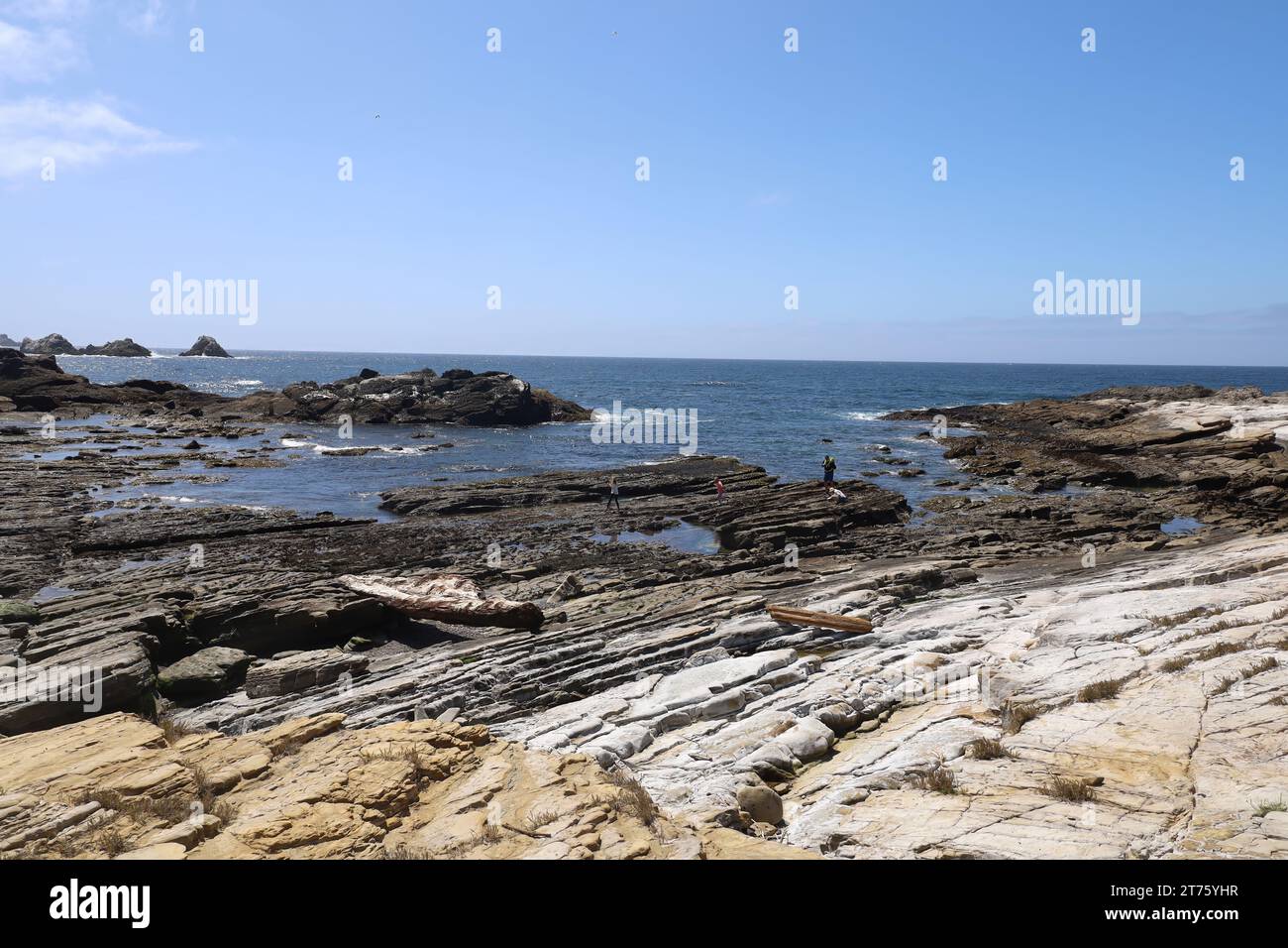 Rocks, beaches, and sky in Point Lobos State park in California Stock ...