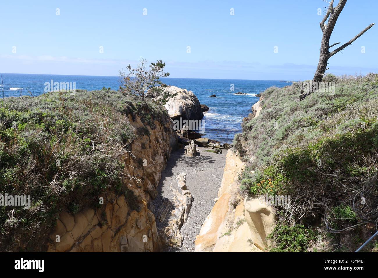 Rocks, beaches, and sky in Point Lobos State park in California Stock ...