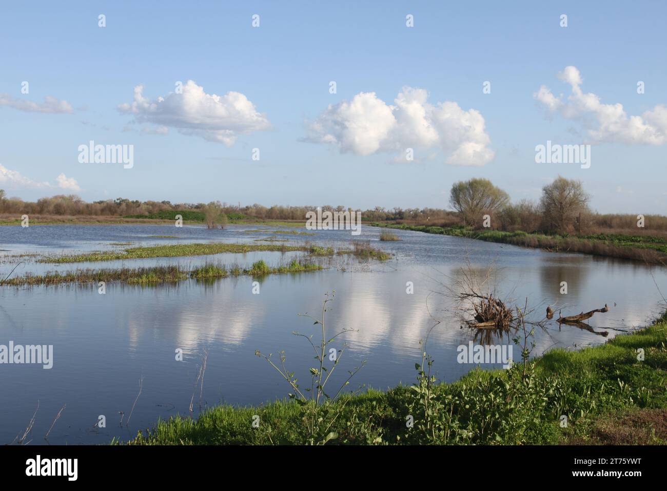Bird Migration season in San Joaquin Wildlife Preserve California Stock ...