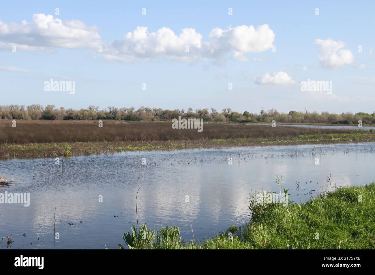 Bird Migration season in San Joaquin Wildlife Preserve California Stock ...