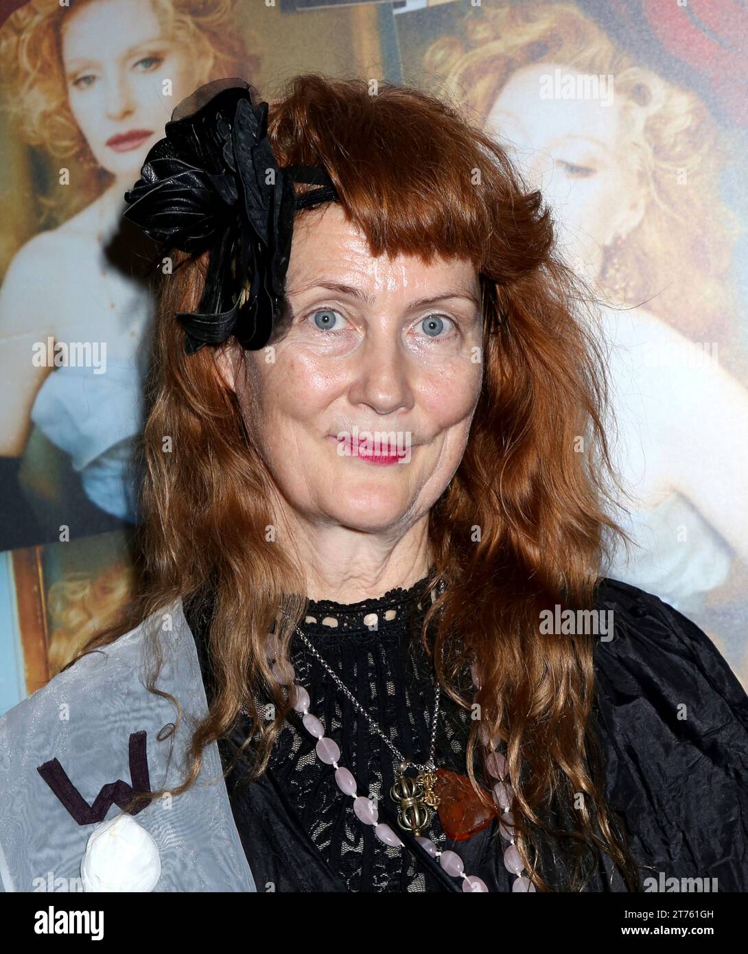 New York City, USA. 13th Nov, 2023. Iris Brosch attending 'The Disappearance Of Shere Hite ...