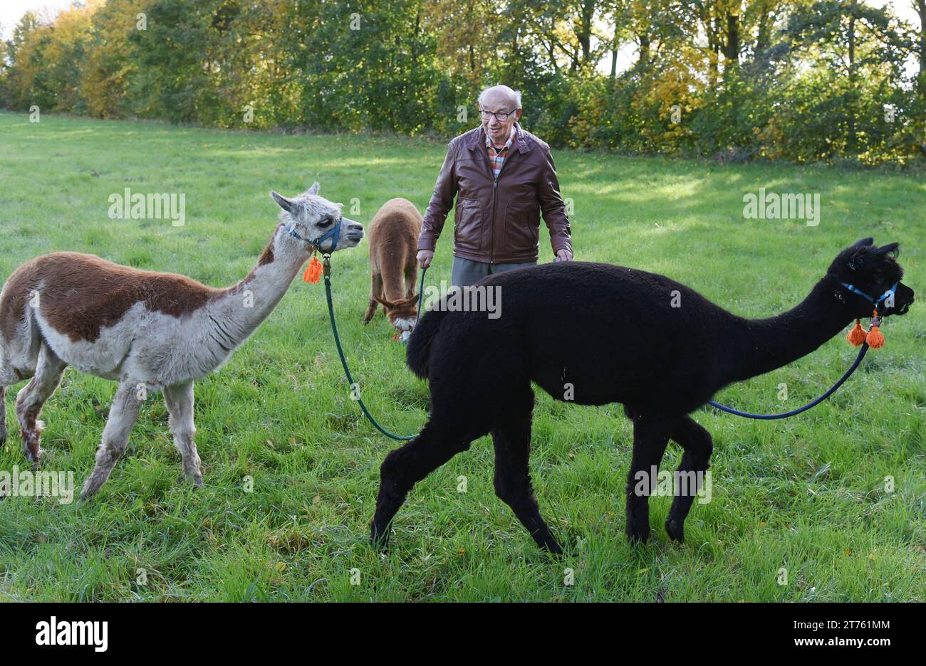 03 November 2023, Saxony, Delitzsch: 82-year-old Bernd Düsel takes the ...