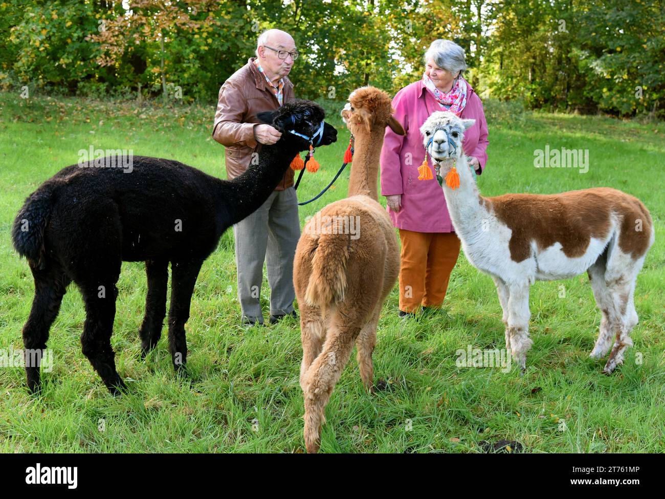 03 November 2023, Saxony, Delitzsch: 82-year-old Bernd Düsel and his ...